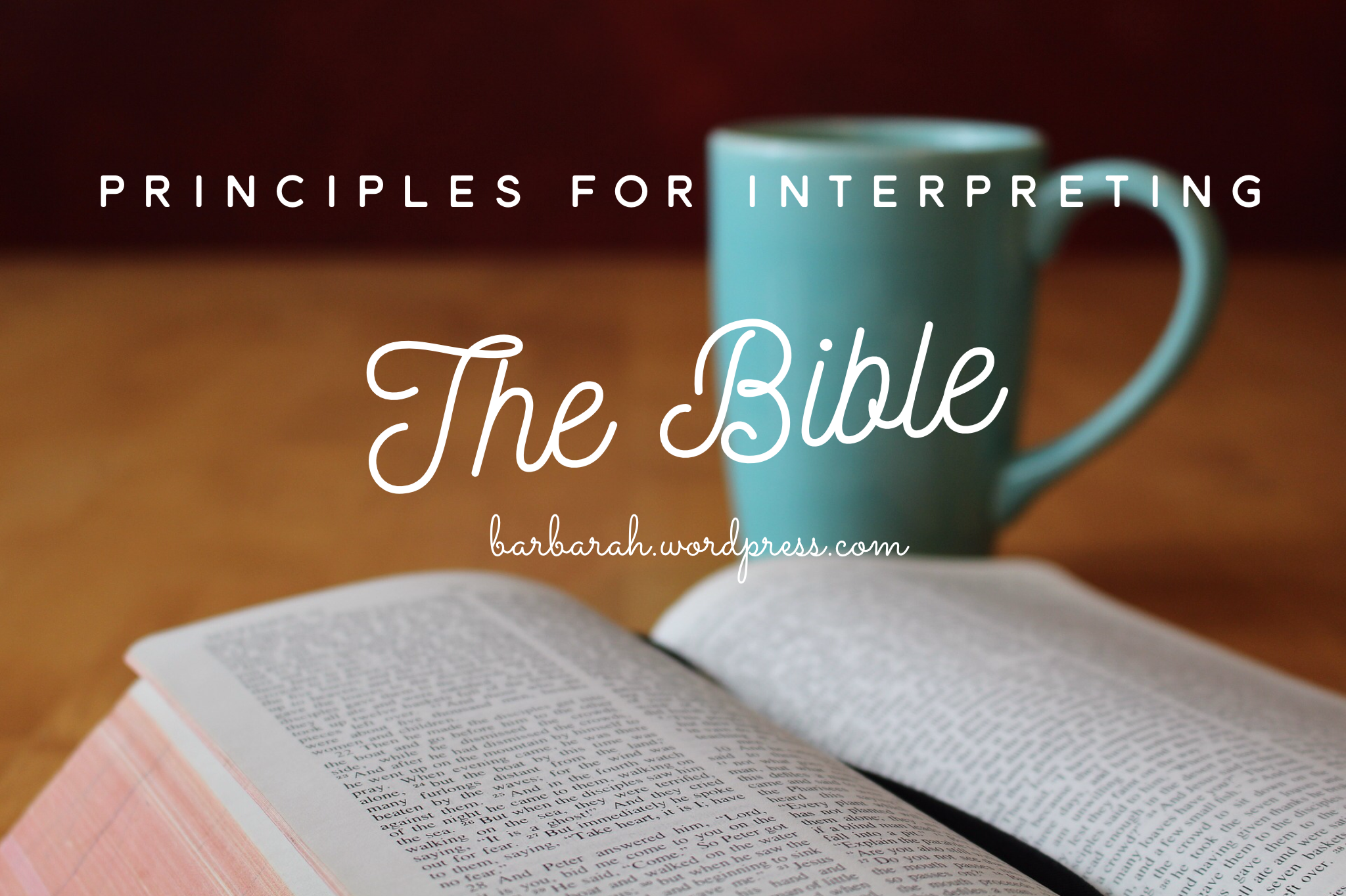Principles For Interpreting the Bible | Stray Thoughts