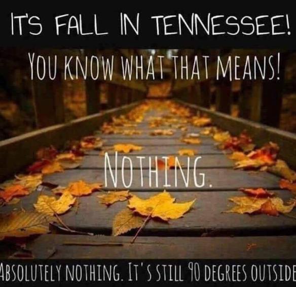 End-of-September Musings | Stray Thoughts