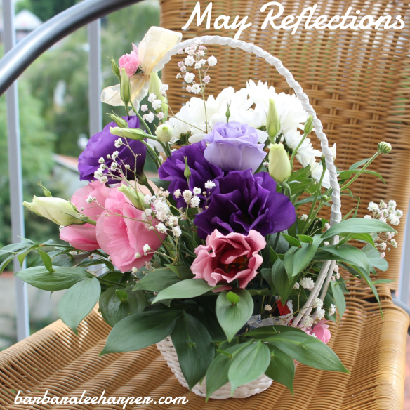 End-of May Reflections | Stray Thoughts