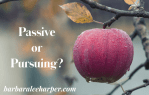 Passive or Pursuing? | Stray Thoughts