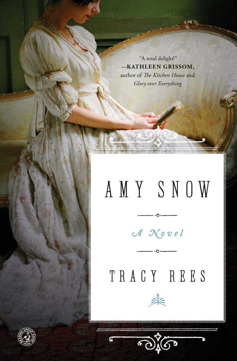 Review: Amy Snow | Stray Thoughts